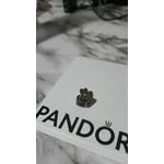 Pandora 797200 Sterling Silver Spiritual Dreamcatcher Dangle Charm ...