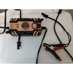 Everstart Maxx 4 Amp Waterproof 12v Automotive and Marine Battery ...