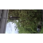 Livhil Memorial Wind Chimes for Outside, Sympathy Gifts, Aluminium ...