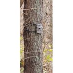 Tasco 12MP Trail Camera with Low Glow Infrared Flash, 720p Video, PIR ...