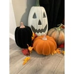 Way To Celebrate Harvest Orange Flocked Pumpkins Set of 2 Elegant Fall ...