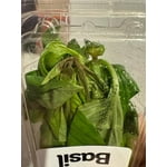 Fresh Basil, 0.5 oz Clamshell - Walmart.com