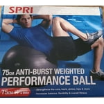 SPRI Weighted Stability Exercise Ball, 55cm, Blue - Walmart.com