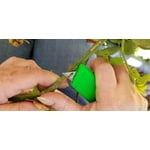 Hyper Tough Heavy-Duty Utility Blades, 5 Pack, Precision-Honed High ...