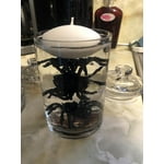 Ashland® Super Absorbent Water Beads for Floral Arrangements and Vases ...