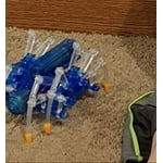 NSI Smithsonian Robo Spider Model Kit for Kids Ages 8 and up - Walmart.com