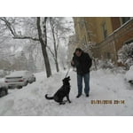 Teeter Better Back Inversion Program Mat, Illustrated Stretches, Floor ...