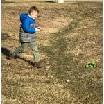 Orbit Tumbler RC Car - 2.4 GHz Remote Control Stunt Car - Walmart.com