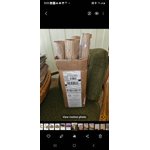 ( 1 ) - Daruma Dwarf Loropetalum - Starter Plant ( 5m ) ( 1 live plant ...