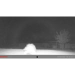 Tasco Invader 20MP Hunting Trail Monitor,1080p 30 FPS Video, Low Glow ...