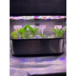 LetPot 12-Pod Smart Hydroponics System SE Indoor Growing System, APP ...