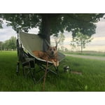 GCI Outdoor Pod Rocker with SunShade, Loden Green - Walmart.com