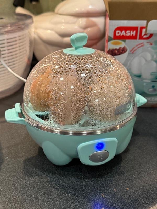 Dash Rapid Egg Cooker Egg Cooker Walmart