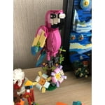 LEGO Creator 3in1 Exotic Pink Parrot Bird Building Toy Set 31144 ...