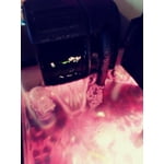 Tetra Whisper PF10 Power Filter for 5 to 10 Gallon Aquariums, Quiet 3 ...