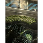 Alien Action Figure Grid Alien Xenomorph Aliens vs Predator 7-Inch ...