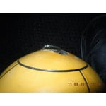 Voit® Tetherball - Walmart.com