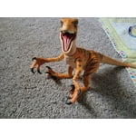 Jurassic World Amber Collection Tiger Velociraptor 6 inch Action Figure ...