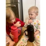 TAL Stainless Steel Basin Travel Mug 30 oz with Silicone Straw, Sage ...