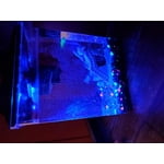 KollerCraft 1.5-Gallon Betta Fish Aquarium Kit - Walmart.com