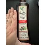 Arbol Verde Natural Anti Hair Loss Shampoo with Natural Plants, 500 ml ...