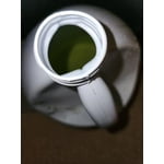 Pool Essentials Chlorinating Liquids Chlorine Pool Chemicals, 2-Pack ...