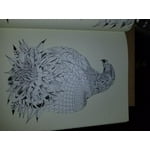 Birdtopia: Coloring Book (Paperback) - Walmart.com