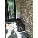 Springstar TK74010R AGO Mosquito Sticky Traps - Black, Pack of 2 ...