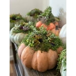 Proflora Preserved Green Moss Mix Collection, 150 CU in - Floral ...