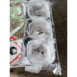 Weber Lighter Cubes, Fast Charcoal Ignition, 24 Pieces - Walmart.com