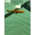 Adventure Force RC Tiger Shark - Remote Controlled Radio Controlled ...