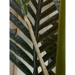 6 ft Artificial Golden Cane Palm Tree with Large White Planter, Faux ...