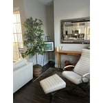DR.Planzen 4ft Artificial Ficus Tree, Durable Trunk, Silk Lifelike ...