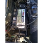 Free Shipping! EverStart AGM PowerSport Battery, Group Size TZ7S, 12V ...