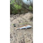 Lew's Xfinity XJ Spinning Reel and Fishing Rod Combo, 6-Foot Rod, Size ...