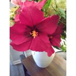 Fiesta 12" x 12" Crepe Paper by Recollections™, 40 Sheets - Walmart.com