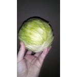 Fresh Green Cabbage, Each - Walmart.com