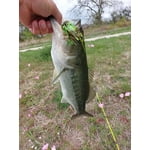 Lew's Xfinity XJ Spinning Reel and Fishing Rod Combo, 6-Foot Rod, Size ...