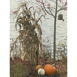 Harvest Seed & Supply Black Metal Snack Stack Hanging Wild Bird Feeder ...