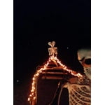 "Lifesize Two-Headed Skeleton Halloween Decor - Posable, Hanging ...