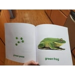My First Book of Colors and Shapes : Learning Fun for Toddlers ...