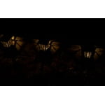 Mainstays Solar Powered Black Square Design LED Path Light, 5 Lumens (6 ...