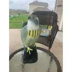 Falcon Decoy Bird Repellent Predator Flashy Reflective Eyes Owl Decoy ...