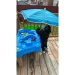 Step2 Cascading Cove Blue Plastic Sandbox and Water Table for Toddlers ...