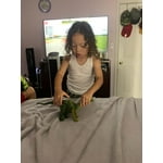 Jurassic World Wild Roar Nigersaurus Dinosaur Toy with Roaring Sound ...