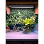 Great Value 2ft LED Full Spectrum Grow Light, 14W, Linkable Up to 10 ...