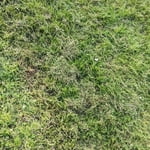 Hyper Tough 15" 13Amp Corded Electric Push Dethatcher/Scarifier Walk ...