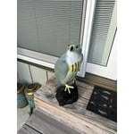 Falcon Decoy Bird Repellent Predator Flashy Reflective Eyes Owl Decoy ...