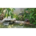 Design Toscano Hanna the Hippo African Decor Piped Pond Spitter Statue ...