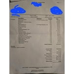 Nylabone Daily Dental Rubber Braid Bone for Dogs - Up to 35 lbs ...